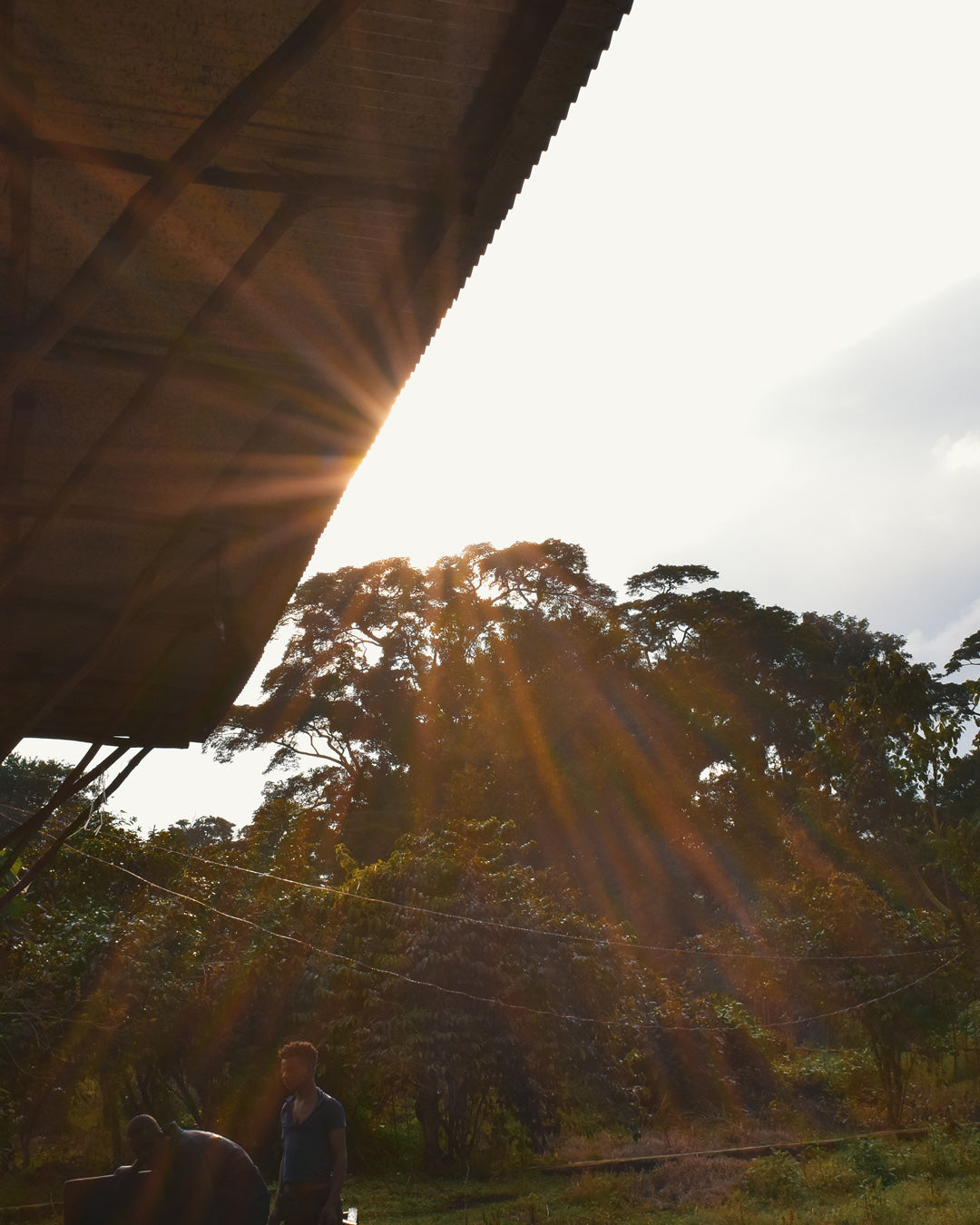 Producing Partner: Ethiopia Dumerso – DOMA Coffee Roasting Company