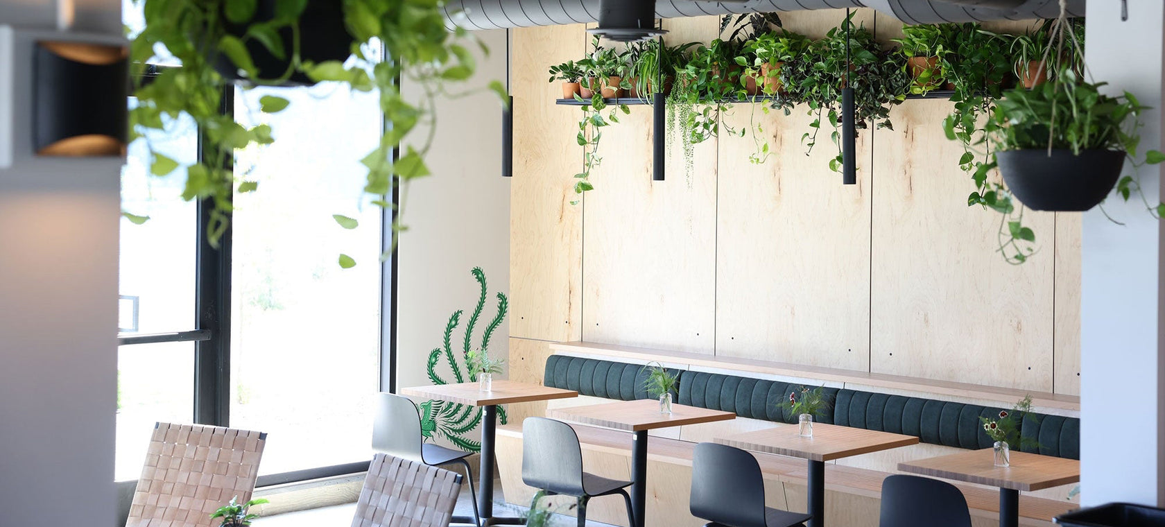 DOMA Coffee – DOMA Coffee Roasting Company